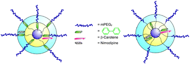 Synthesis and transport properties of new dendritic core–shell ...