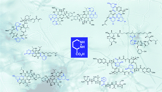Piperazic acid-containing natural products: Isolation, biological ...