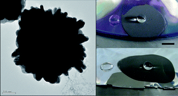 Ag dendrites with rod-like tips: synthesis, characterization and ...