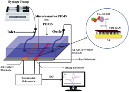 A self assembled monolayer based microfluidic sensor for urea detection ...