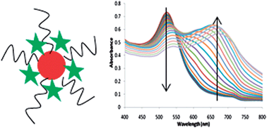 Stable dye-labelled oligonucleotide-nanoparticle conjugates for nucleic ...