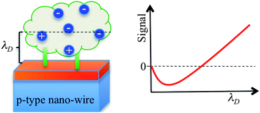 Predicting and rationalizing the effect of surface charge distribution ...