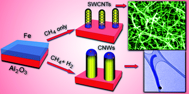 Controlled synthesis of a large fraction of metallic single-walled ...