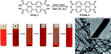 Chemical reaction mediated self-assembly of PTCDA into nanofibers ...