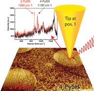 Developments in and practical guidelines for tip-enhanced Raman ...
