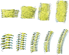 Comparative analysis of nanomechanics of protein filaments under ...