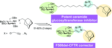 Selection of the biological activity of DNJ neoglycoconjugates through ...