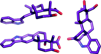 A family of multicyclic indolosesquiterpenes from a bacterial endophyte ...