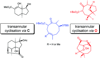 Studies on transannulation reactions across a nine-membered ring: the ...