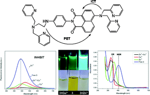 A naphthalimide fluorophore with efficient intramolecular PET and ICT ...