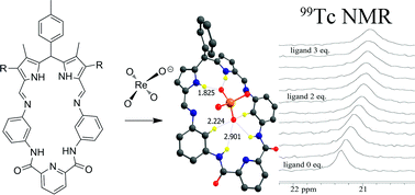 Macrocyclic receptor for pertechnetate and perrhenate anions - Organic ...