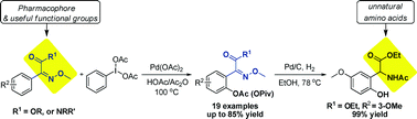 Palladium-catalyzed C–H acetoxylation of 2-methoxyimino-2-aryl-acetates ...
