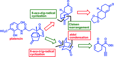 A radical cyclization approach to the formal total syntheses of ...