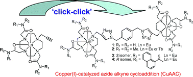 Synthesis of luminescent homo-dinuclear cationic lanthanide cyclen ...
