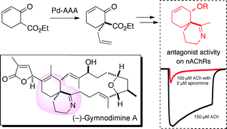 6,6-Spiroimine analogs of (−)-gymnodimine A: synthesis and biological ...