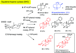 Chemo-enzymatic syntheses of drimane-type sesquiterpenes and the ...