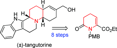 Total synthesis of the monoterpenoid alkaloid (±)-tangutorine - Organic ...