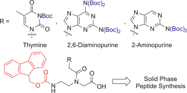 Synthesis and oligomerization of Fmoc/Boc-protected PNA monomers of 2,6 ...