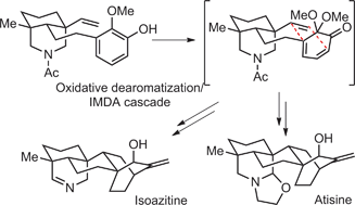 Oxidative dearomatization/intramolecular Diels–Alder cycloaddition ...