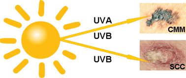 UVA, UVB and incidence of cutaneous malignant melanoma in Norway and ...