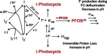Reductive degradation of perfluoroalkyl compounds with aquated ...