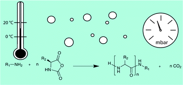 Optimization of N-carboxyanhydride (NCA) polymerization by variation of ...