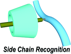 Recognition of polymer side chains by cyclodextrins - Polymer Chemistry ...