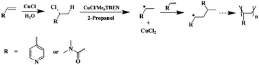 Polymerization of 4-vinylpyridine and N,N-dimethylacrylamide using a ...