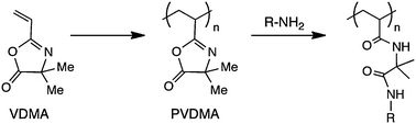 Azlactone-functionalized polymers as reactive platforms for the design ...