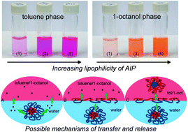Interfacial micellar phase transfer using amphiphilic invertible ...