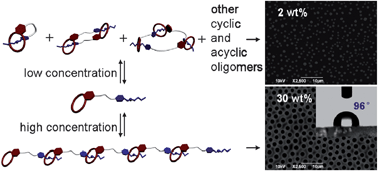 Adjustable supramolecular polymer microstructures fabricated by the ...