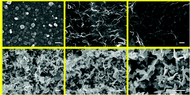 An electrochemically formed three-dimensional structure of polypyrrole ...