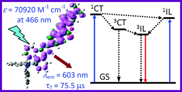 Transition metal complexes with strong absorption of visible light and ...