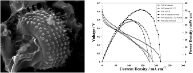 Evaluation of porous carbon substrates as catalyst supports for the ...