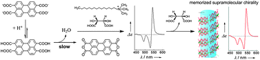Memory of chirality in J-type aggregates of an achiral perylene ...