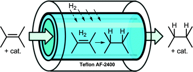 Hydrogenation in flow: Homogeneous and heterogeneous catalysis using ...