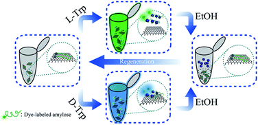 Chiral detection using reusable fluorescent amylose-functionalized ...