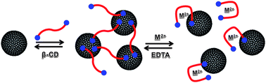 Metal ion responsive adhesion of vesicles by conformational switching ...