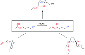 Stereoselective heterocycle synthesis through a reversible allylic ...