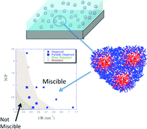 The structure of chain end-grafted nanoparticle/homopolymer ...