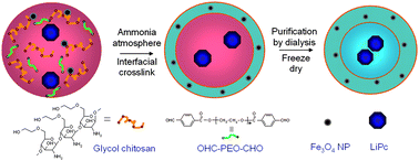 Synthesis of composite microgel capsules by ultrasonic spray combined ...