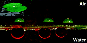 Janus interface materials: superhydrophobic air/solid interface and ...