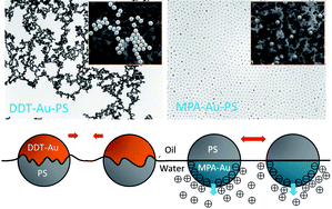 Janus particles at an oil–water interface - Soft Matter (RSC Publishing)