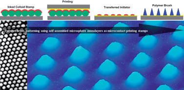Polymer brush patterning using self-assembled microsphere monolayers as microcontact printing ...