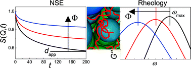 Microscopic origin of the terminal relaxation time in polymer ...