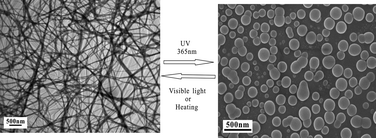 Photo-induced fiber–vesicle morphological change in an organogel based ...