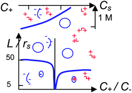 Phase diagrams of DNA and poly(styrene-sulfonate) condensed by a poly ...