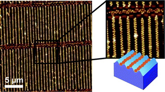 Guided self-assembly of microgels: from particle arrays to anisotropic ...