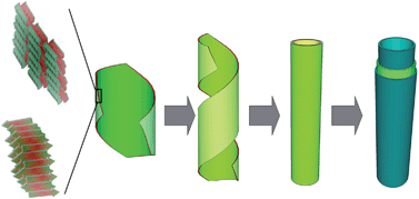Peptide nanotubes: molecular organisations, self-assembly mechanisms ...