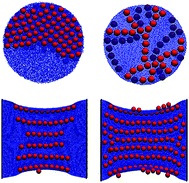 Soft elastic surfaces as a platform for particle self-assembly - Soft ...